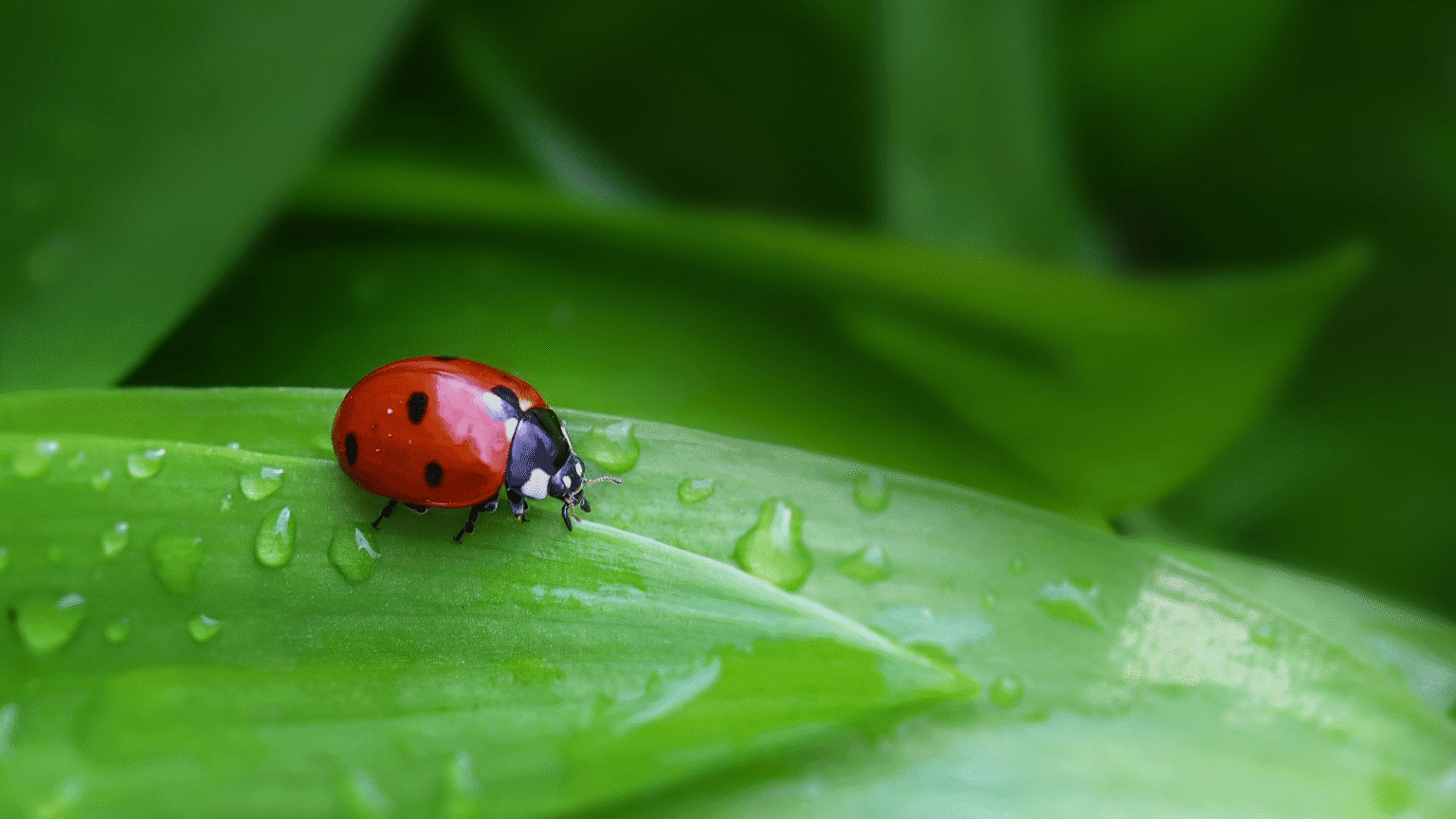 【無料素材サイト】Pixabay！商用利用の注意点 - CreateBit